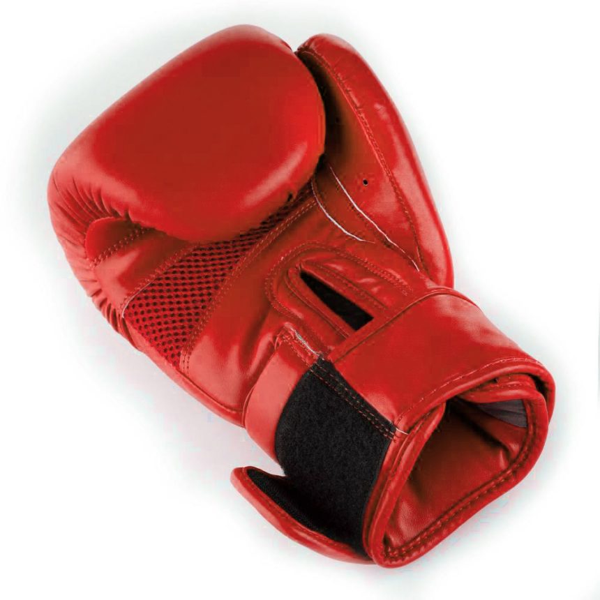 Hob Omega Boxing Gloves Red – HOUSE OF BOXINGS
